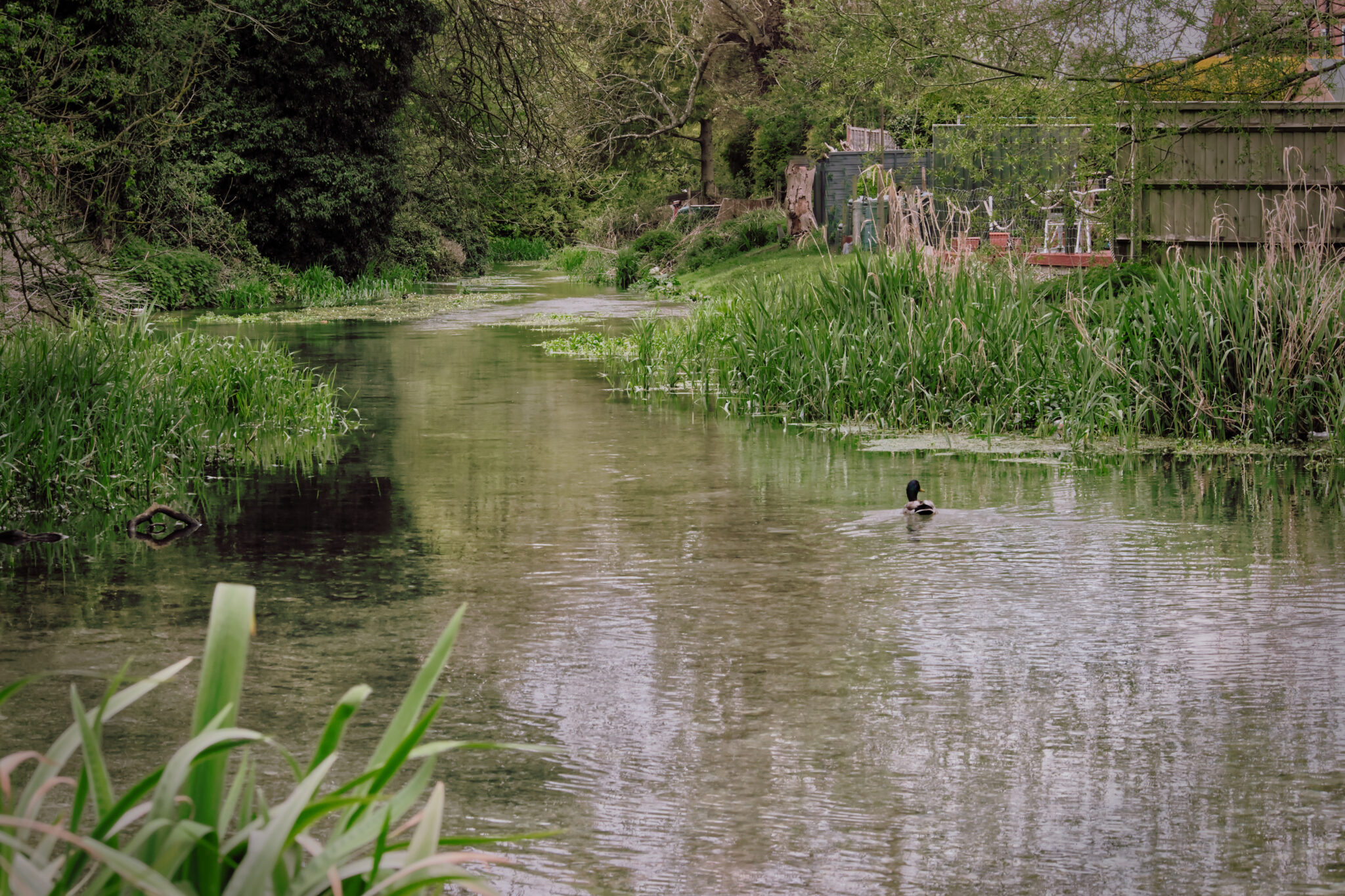 Photo Competition Winners - Lambourn Parish Council
